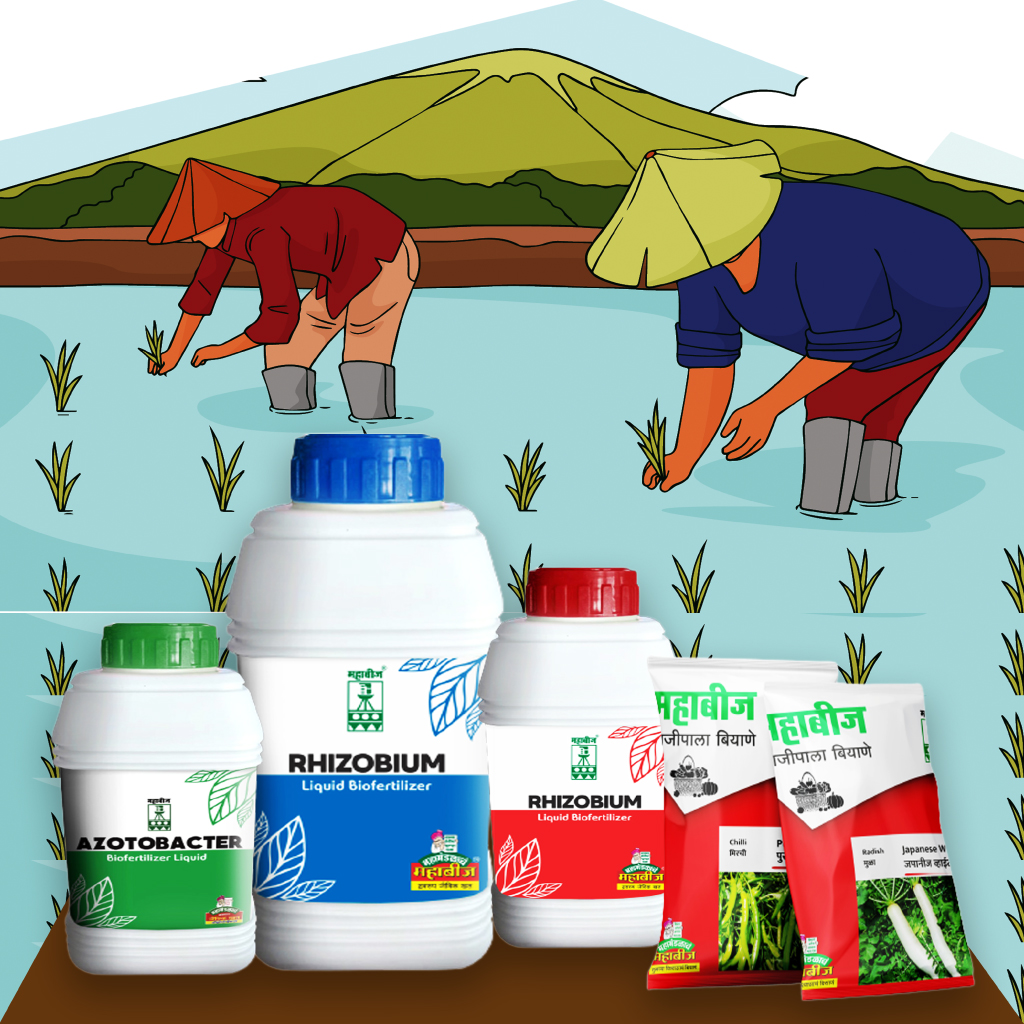 Mahabeej – Dream Creations